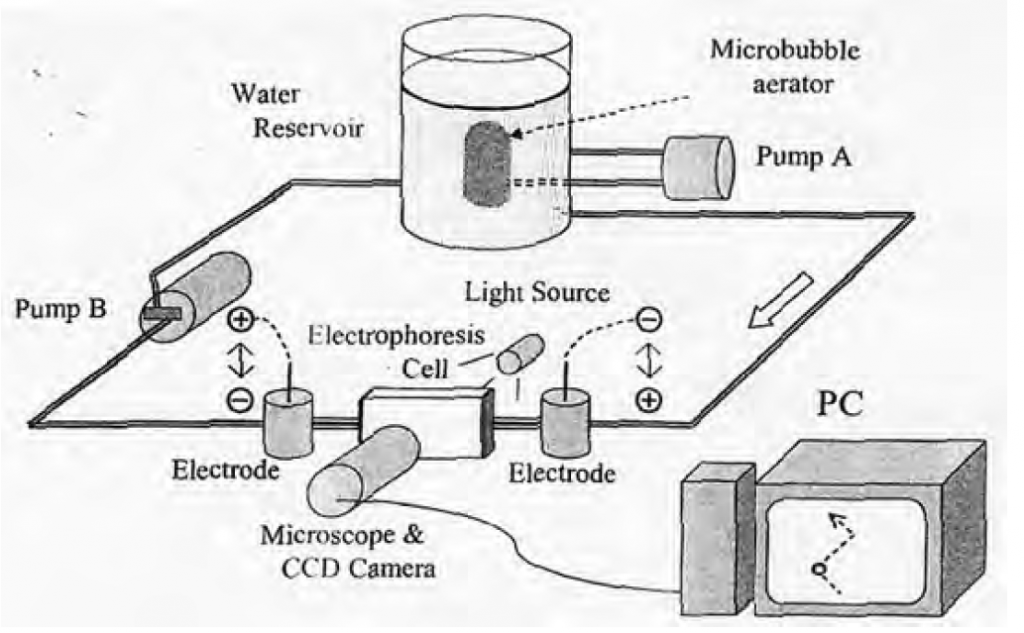 Fundamentals of Micro Nano Bubbles with Their Properties - NANOBBLE